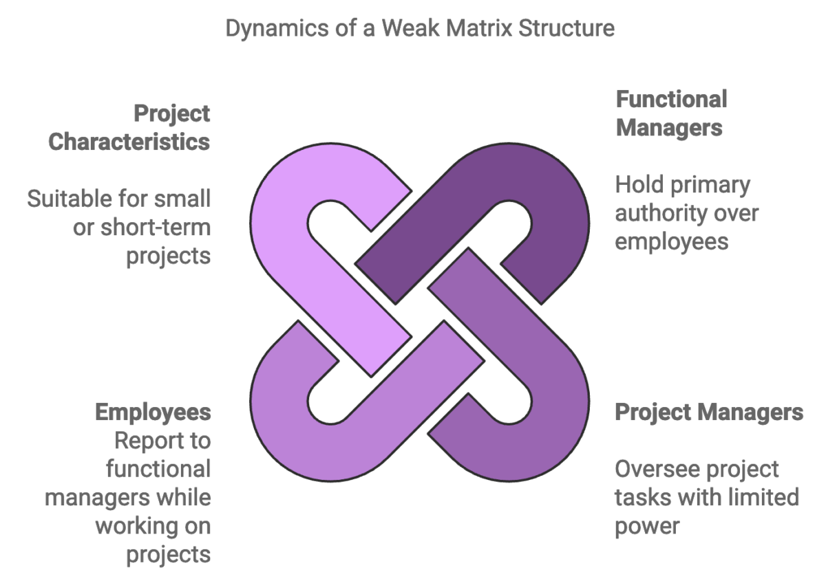 What is a Matrix Organization? Key Benefits and How It Works