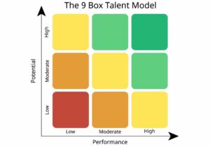 9 Box Talent Review: Complete Guide