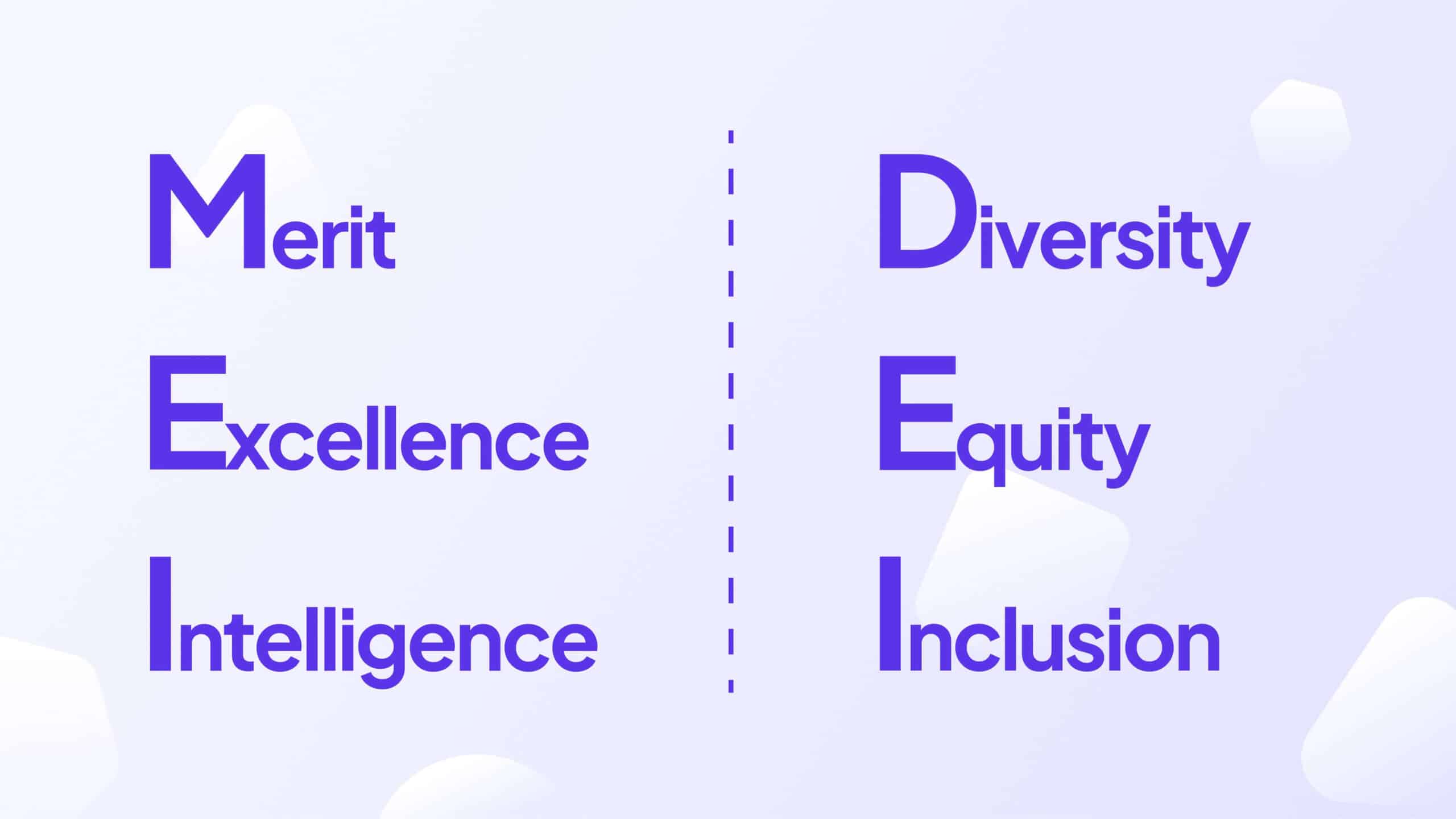 MEI vs DEI: Choosing the Right Workplace Strategy